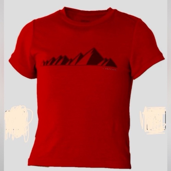 Icebreaker | Shirts & Tops | Icebreaker Kids Tech T Lite Ridge Tshirt ...